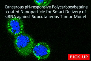 Laboratory for Chemistry and Life Science Institute of Innovative Research | TOKYO INSTITUTE OF ...
